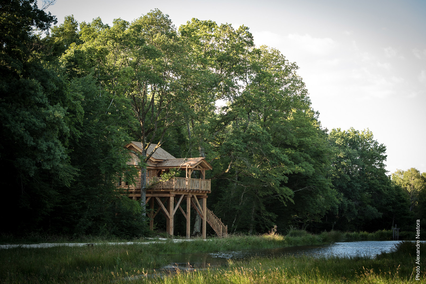 Cabane de l'Étang - Cabanes des Blots - Cabanes dans les arbres avec Spa