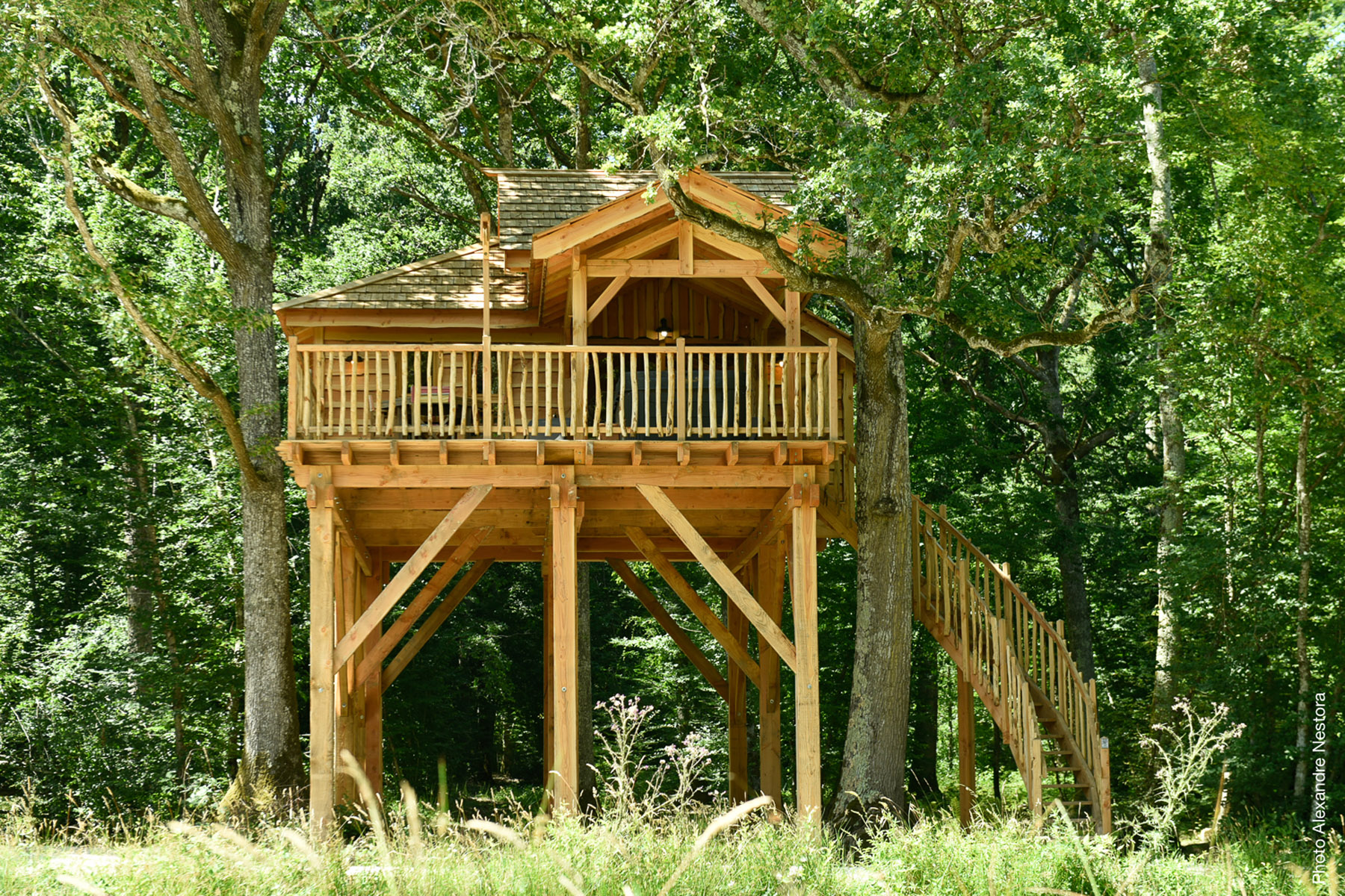 Cabane de l'Étang - Cabanes des Blots - Cabanes dans les arbres avec Spa